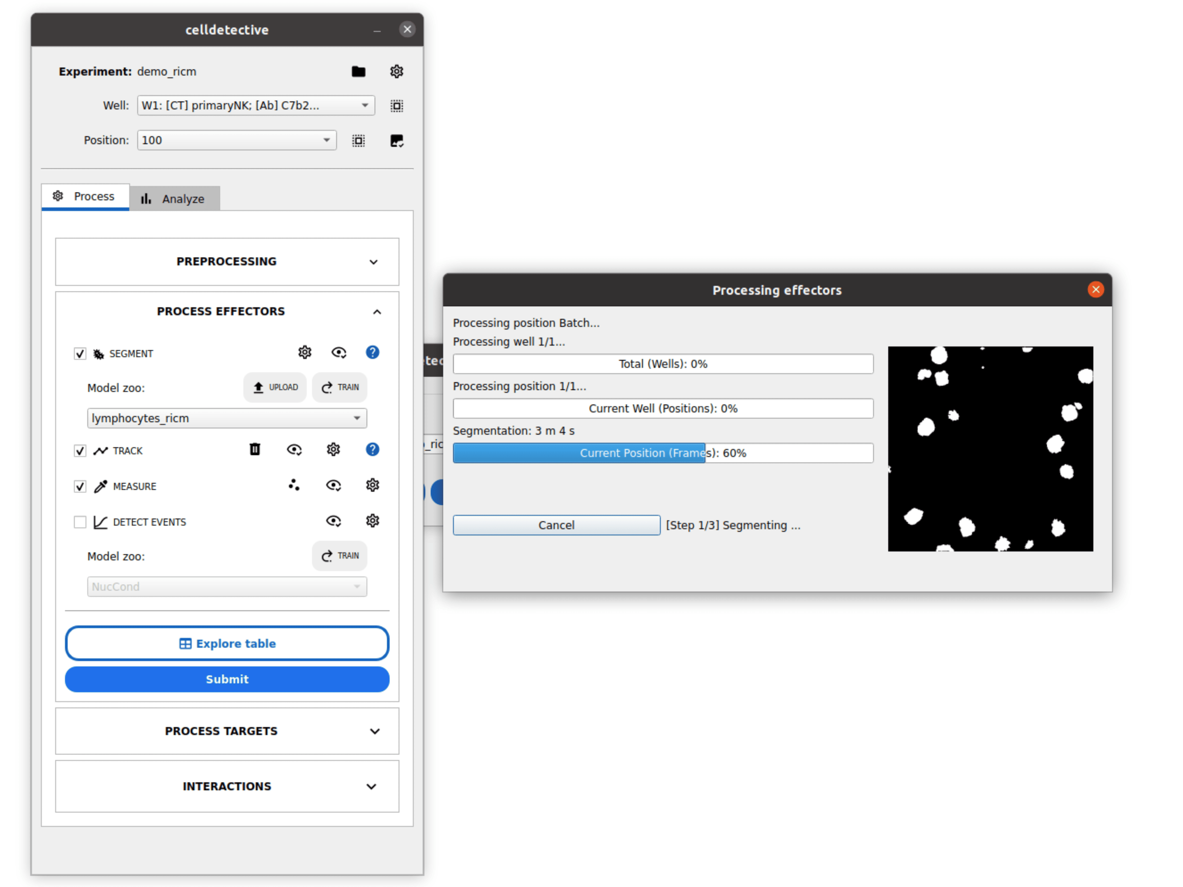 Your First Experiment — celldetective 1.5.0b16.dev32+ge82f8099a ...