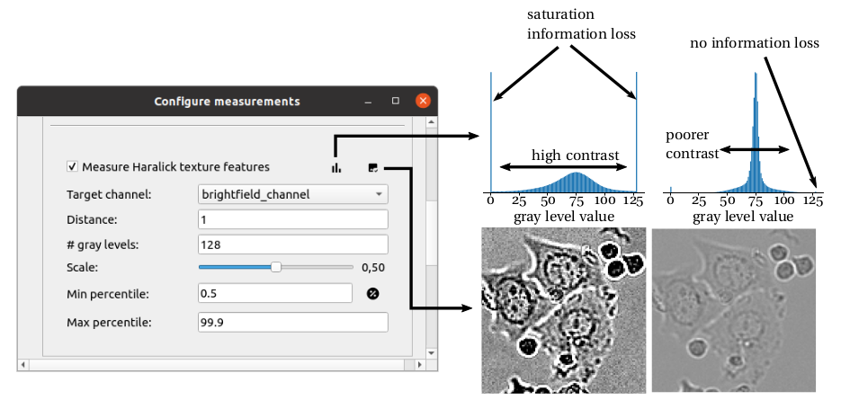 How to measure single-cell texture — celldetective 1.5.0b16.dev32 ...