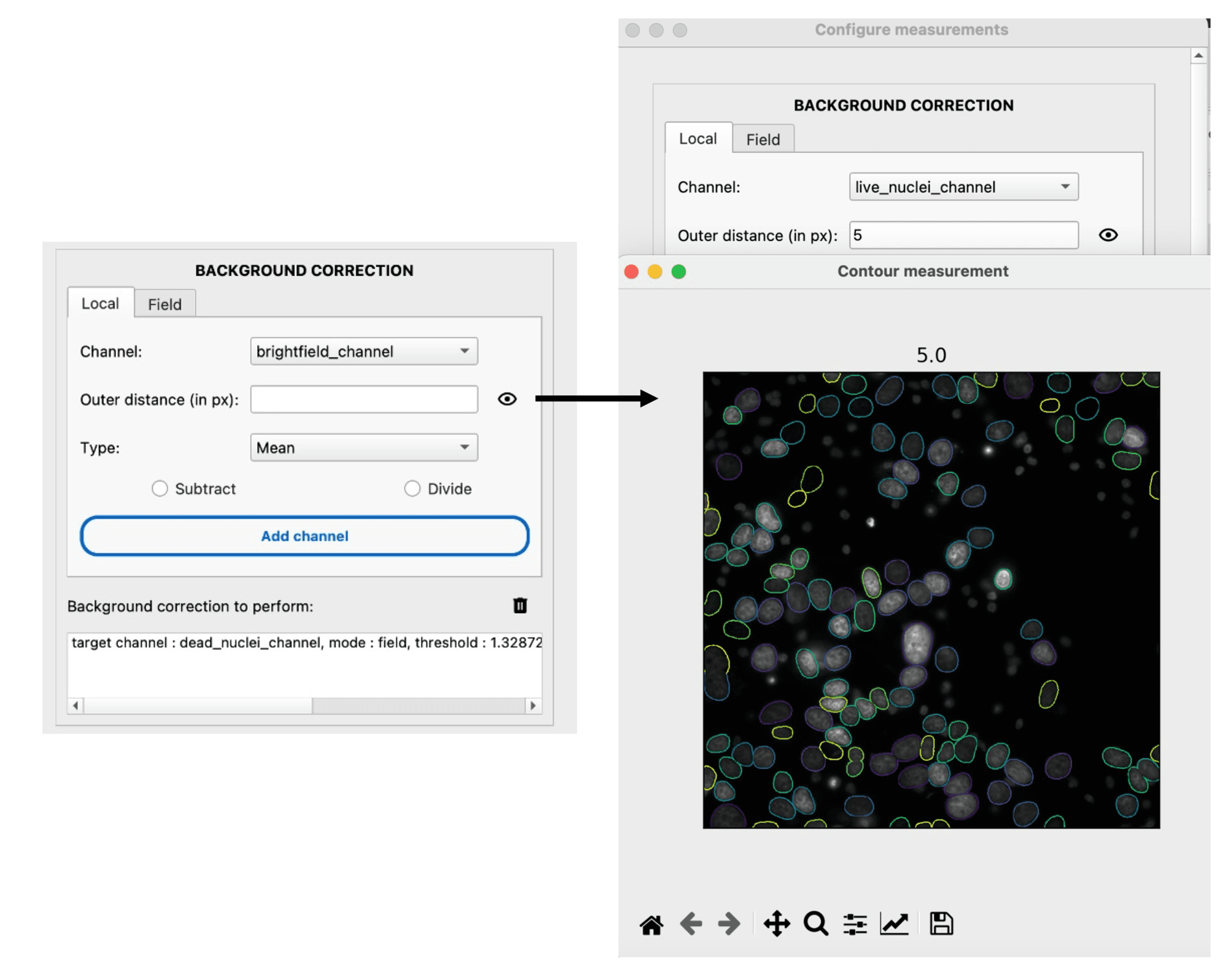 Measure — celldetective 1.4.2 documentation
